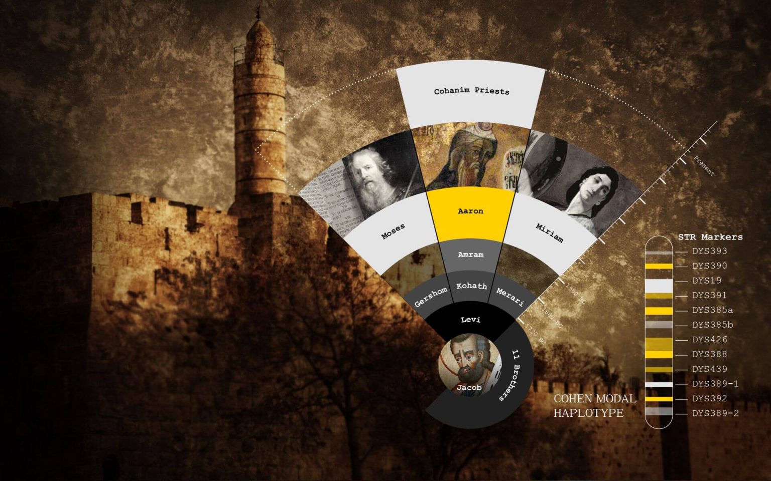 Do you belong to the Jewish Cohen priestly cast?